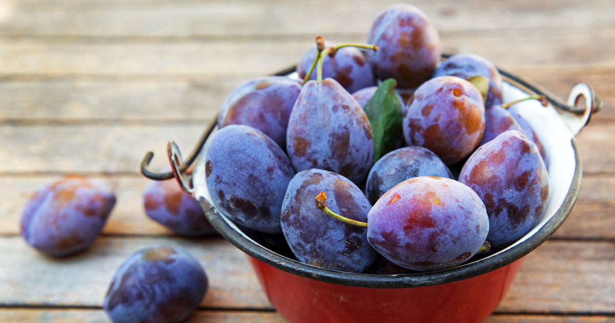 Pflaumen und Zwetschgen – Das blaue Wunder ♥ Grüß Gott!